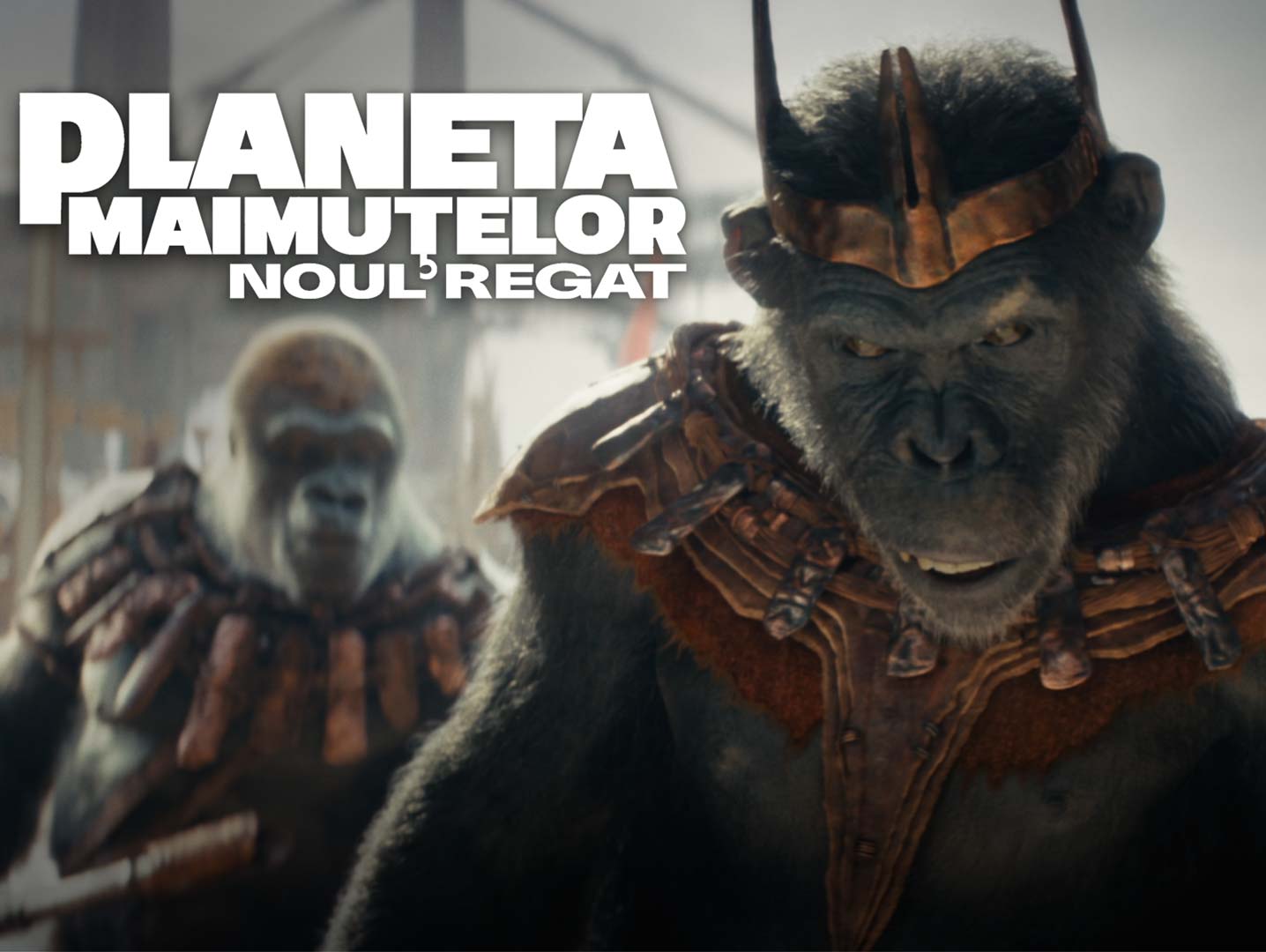 Planeta Maimuțelor: Noul Regat | www.cineforum.ro